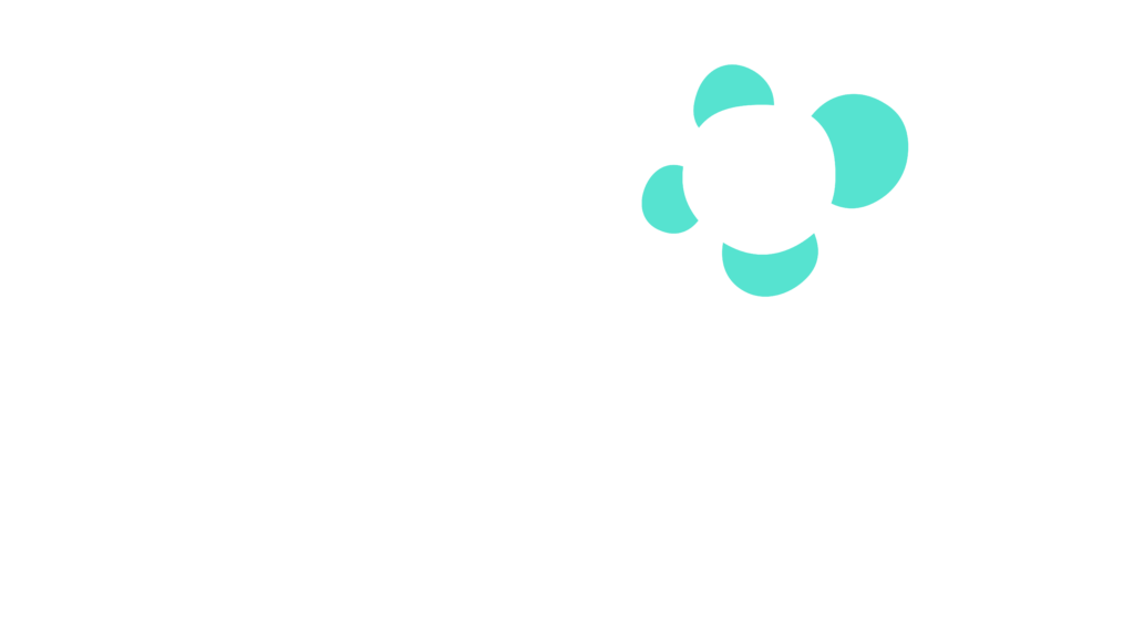 Annual Review - Deaf Connect