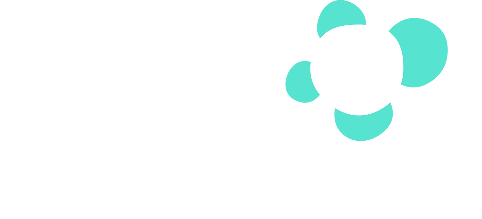 National Sign Language Program - Deaf Connect