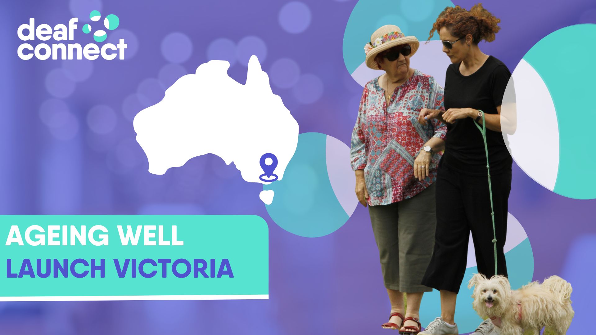 Deaf Herald | October 2024 - Deaf Connect